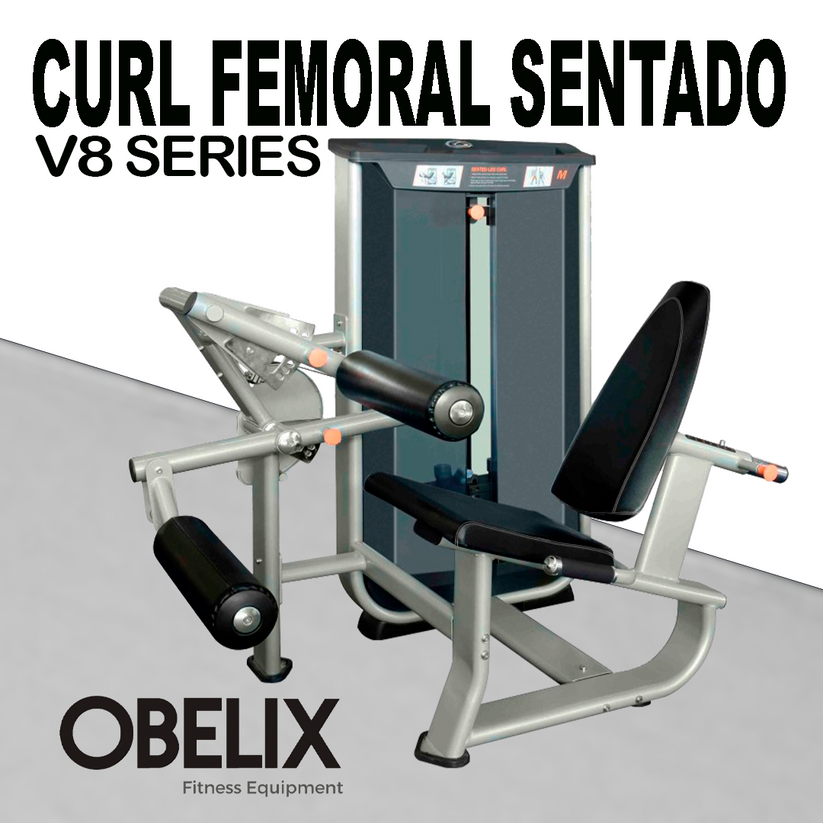 Curl Femoral Sentado V8 Series | Obelix – fedesport